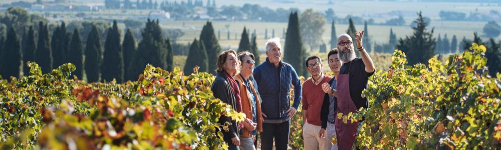 Rhone River Cruise: Lyon and Provence | Adventures by Disney