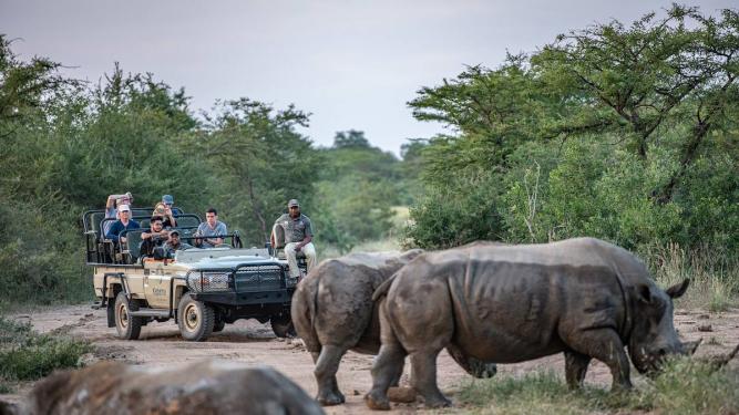 Land Adventures - Family Vacation Packages | Adventures by Disney